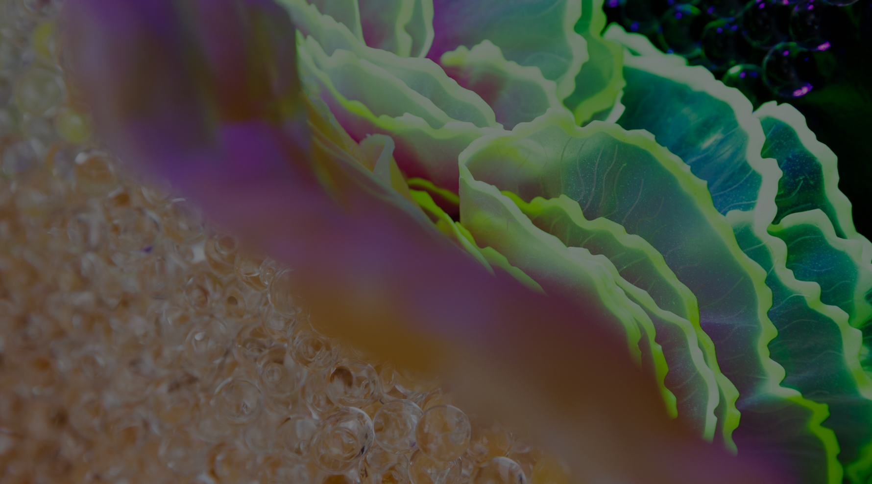 Meet the Experts | World-Renowned Scientists Behind Jung+ Longevity