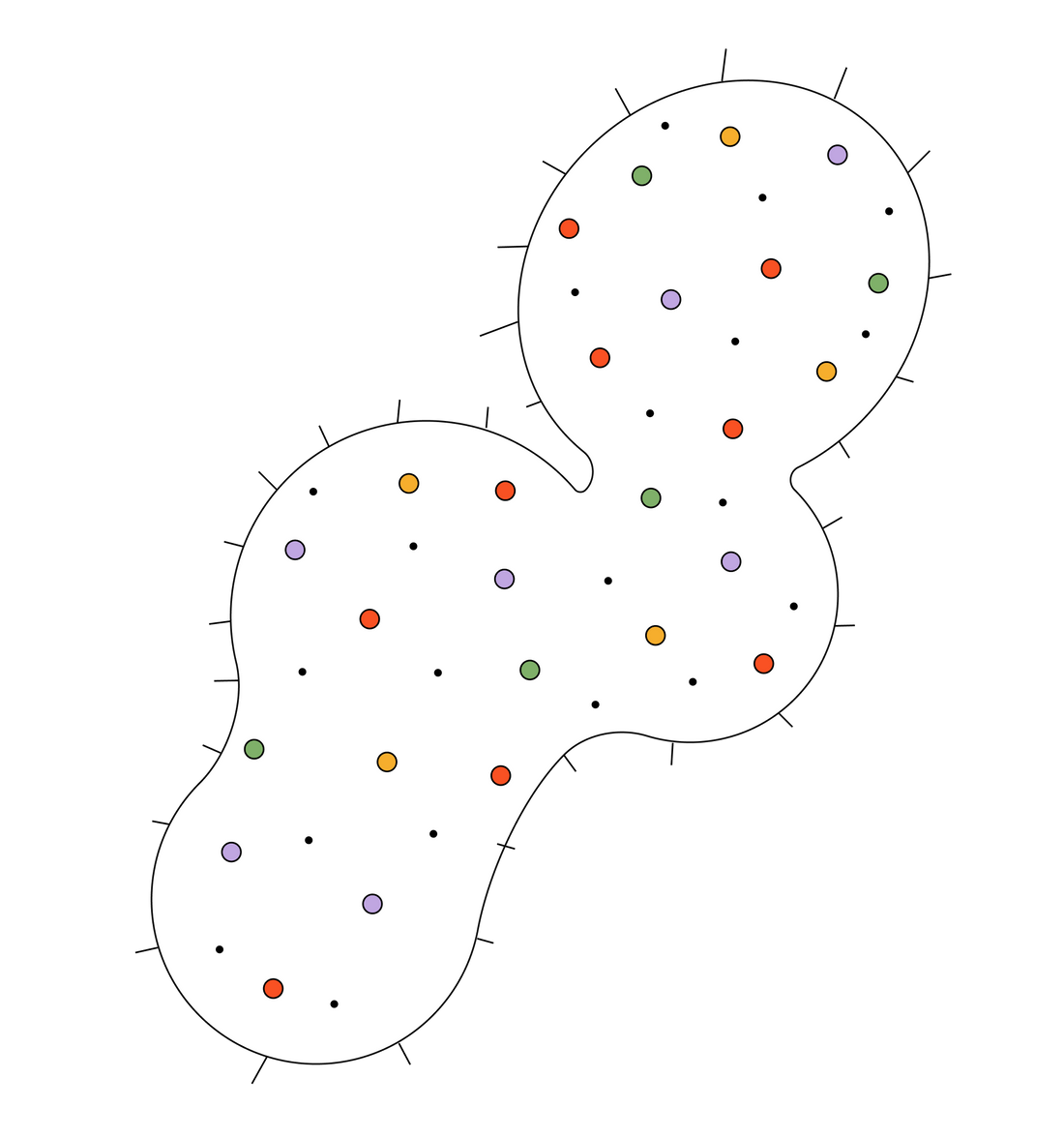 The Science of Longevity | How Jung+ Targets Core Aging Pathways – Jung+ Longevity